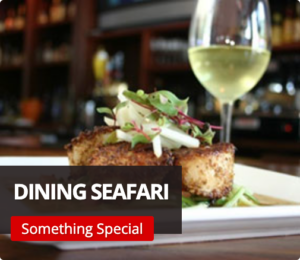 Explore Sydney by Water Taxi: A Unique Experience - V.I.P Water Taxis